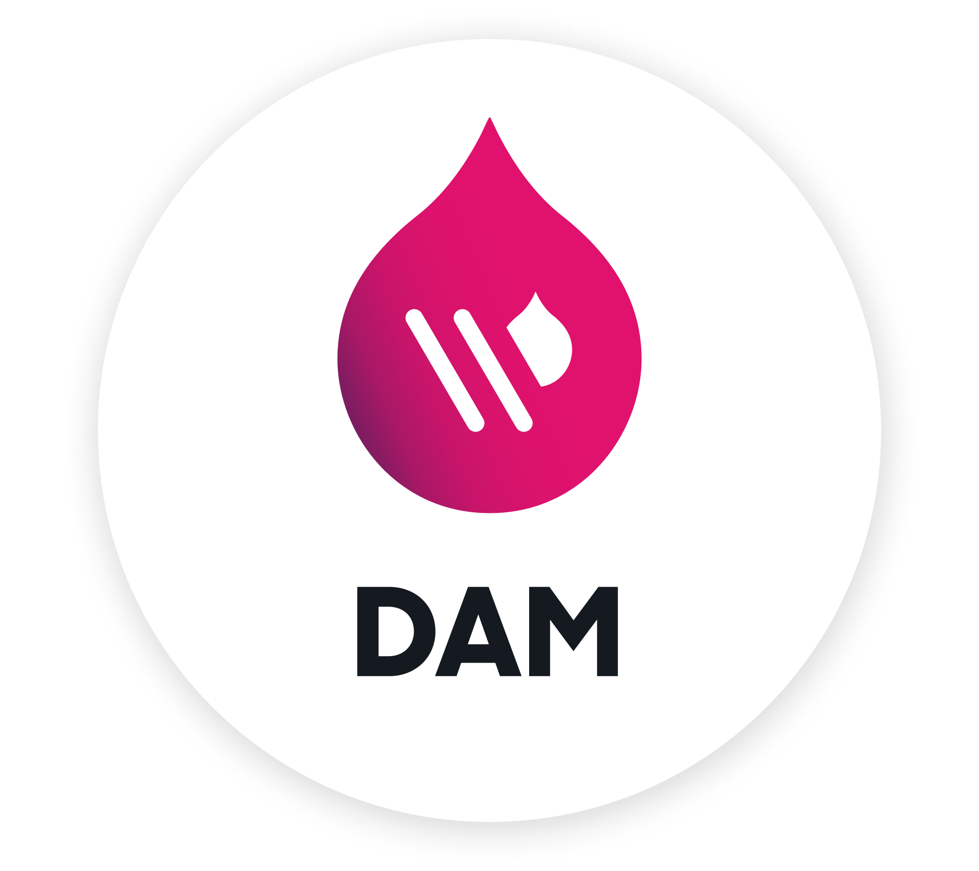 The DAM Capability Model | Acquia