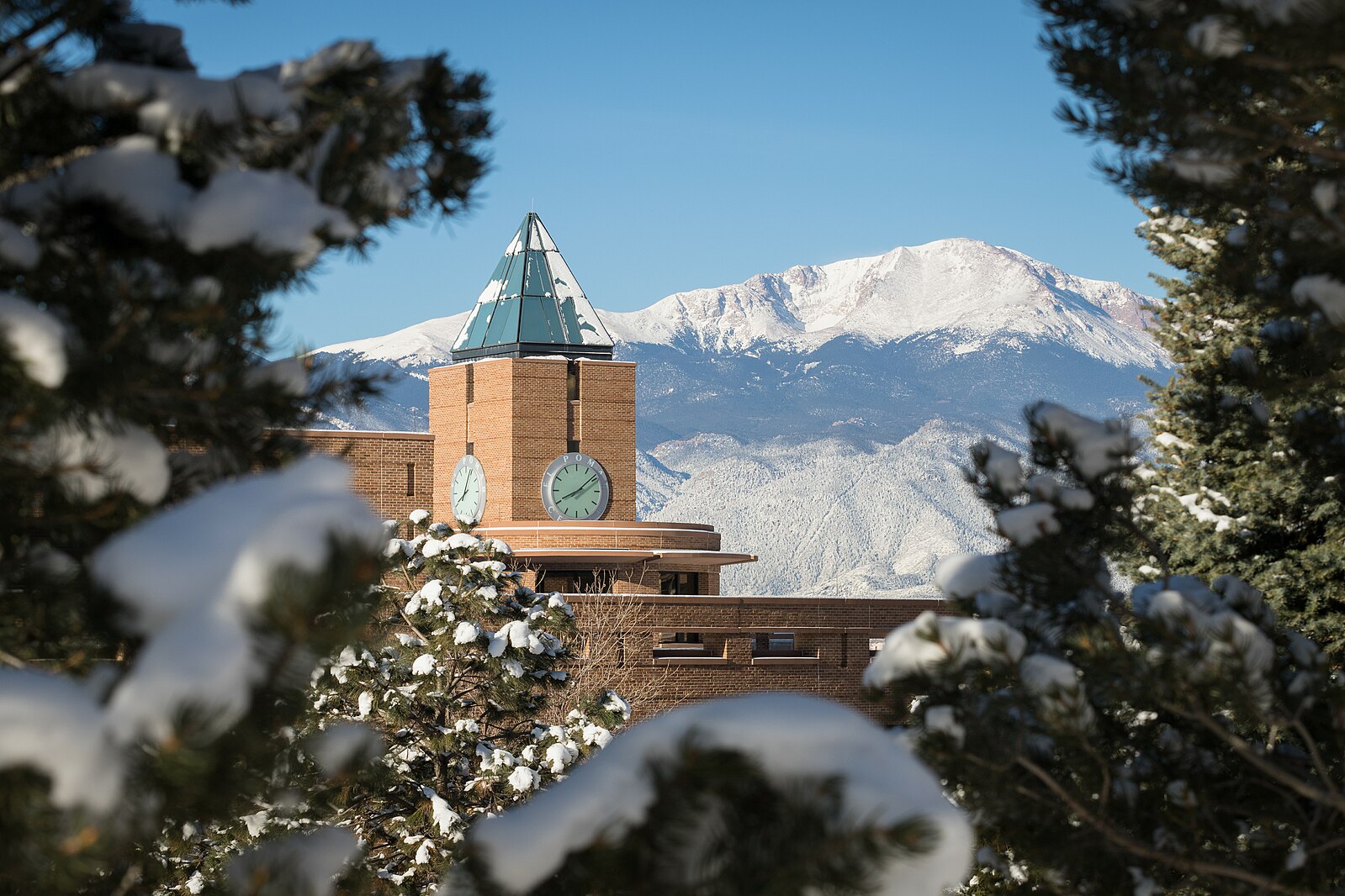 University of Colorado in Colorado Springs | Acquia