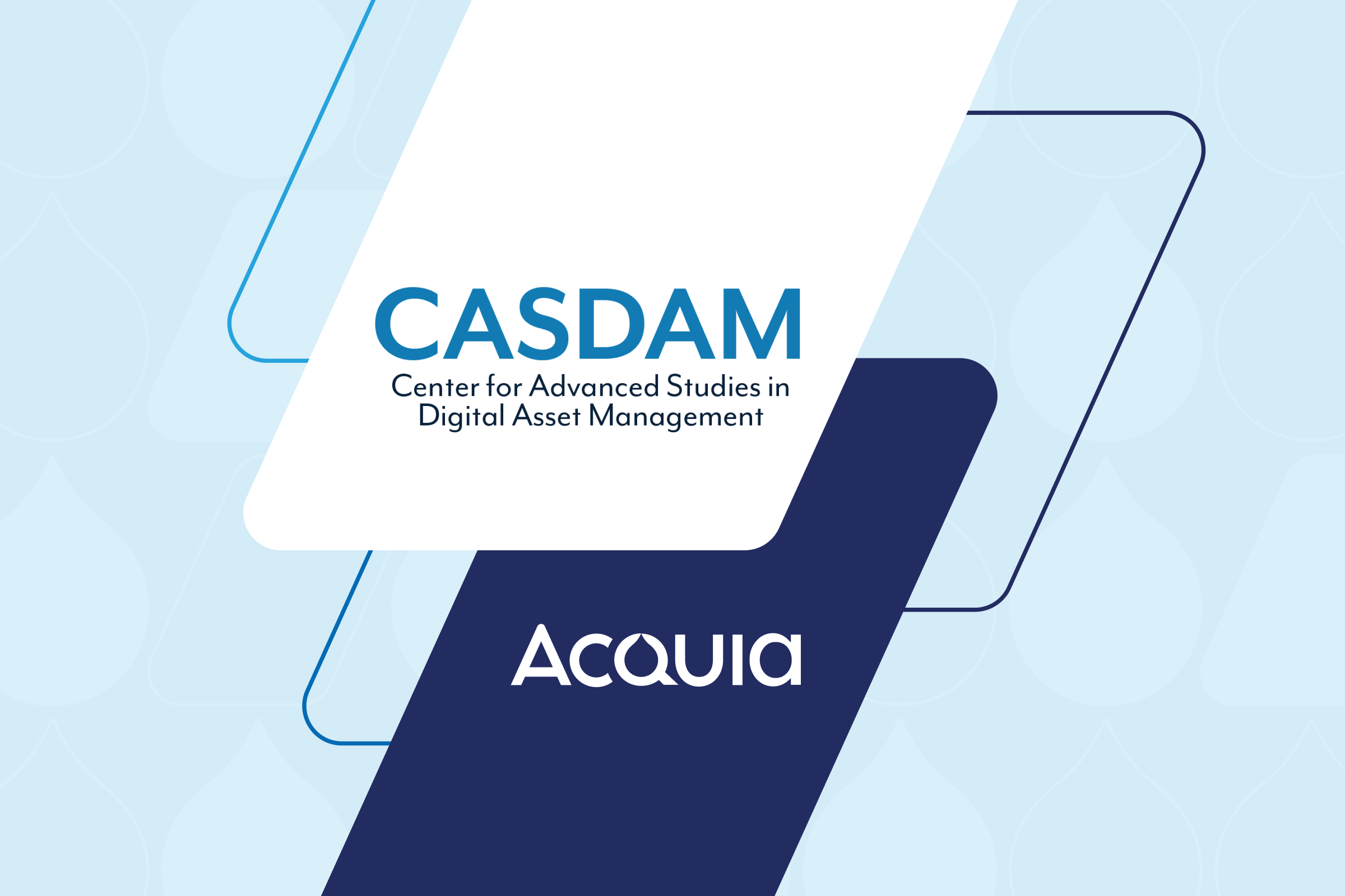 Virtual Workshop: Master the DAM Capability Model | Acquia